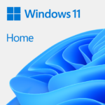 Windows 11 Home key License digital instant delivery – bogo key your ...